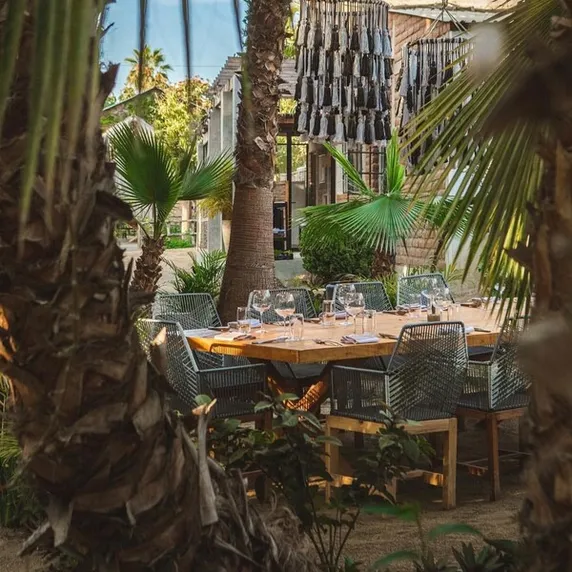 Restaurante DUM Todos Santos - Reseñas, Reservas, Menú y Más