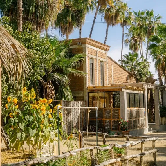 Restaurante DUM Todos Santos - Reseñas, Reservas, Menú y Más