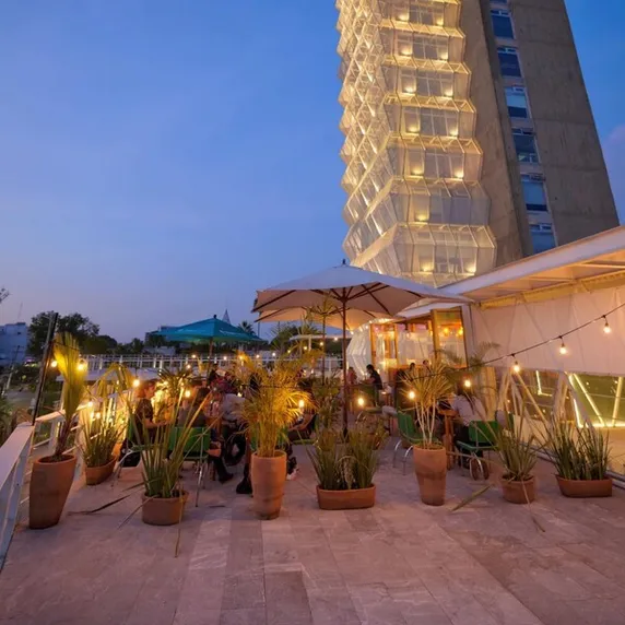 Barra Matilde Mi Amor Guadalajara - Reseñas, Reservas, Menú y Más