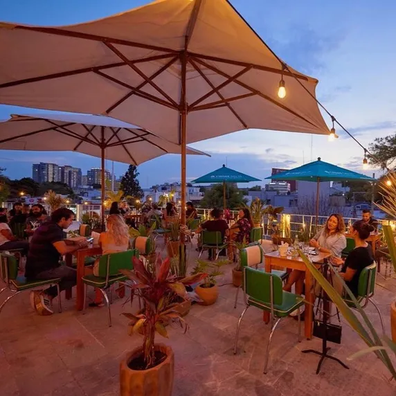 Barra Matilde Mi Amor Guadalajara - Reseñas, Reservas, Menú y Más