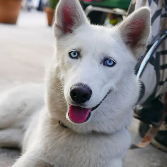 Barra Matilde Mi Amor Guadalajara - Reseñas, Reservas, Menú y Más