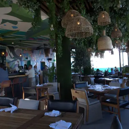 Cabuya Rooftop Condesa – Reseñas, Reservas, Menú y Más