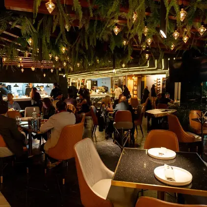 SONO Rooftop CDMX – Reseñas, Reservas, Menú y Más