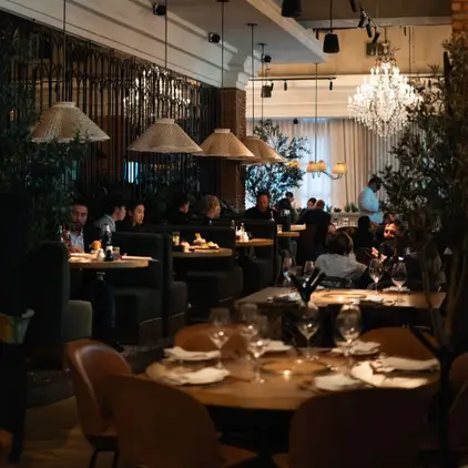 Animal Tijuana – Reseñas, Reservas, Menú y Más